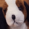 Digit Dog Challenges – Mathematical challenges for young learners
