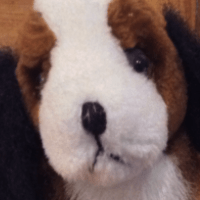 Digit Dog Challenges – Mathematical challenges for young learners