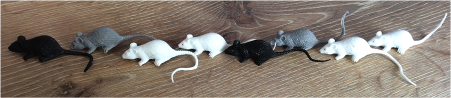 Pattern Parade – Digit Dog Challenges