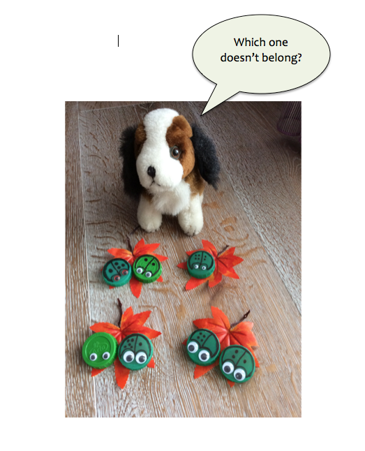 Which one doesn’t belong? – Digit Dog Challenges